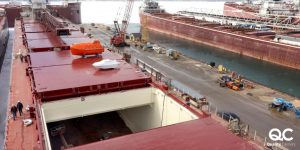 What Is The Difference Between General and Dry Bulk Cargo